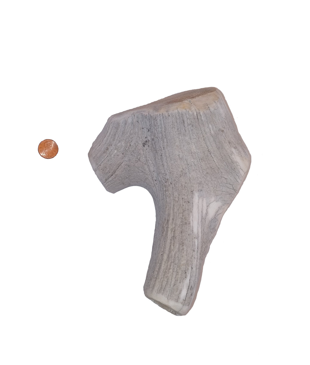 Soft Density Monster+ Knuckle w/o Burr – Choice Wise Antler Pet Products